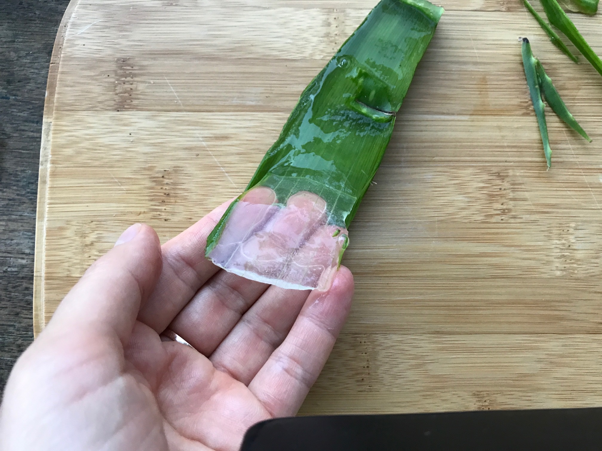 True Foods NutritionMake Your Own Aloe Drink | Sydney Nutritionist ...