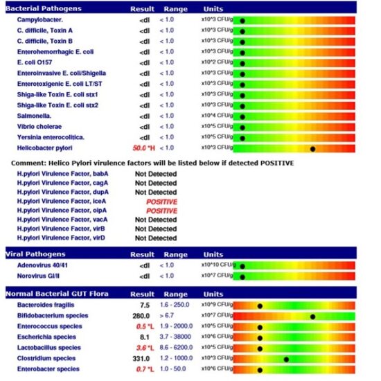 True Foods NutritionGI Map Gut Test Package | Microbiome Gut Testing ...