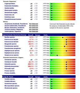 True Foods NutritionGI Map Gut Testing - Get Answers To Gut Health ...