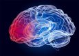 True Foods NutritionADHD – Root Causes and Natural Nutrition Solutions